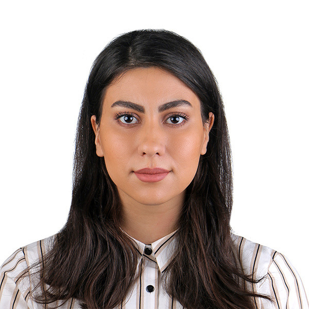 Fatemeh Khosravi - Working Student - Deutsche GigaNetz GmbH | XING