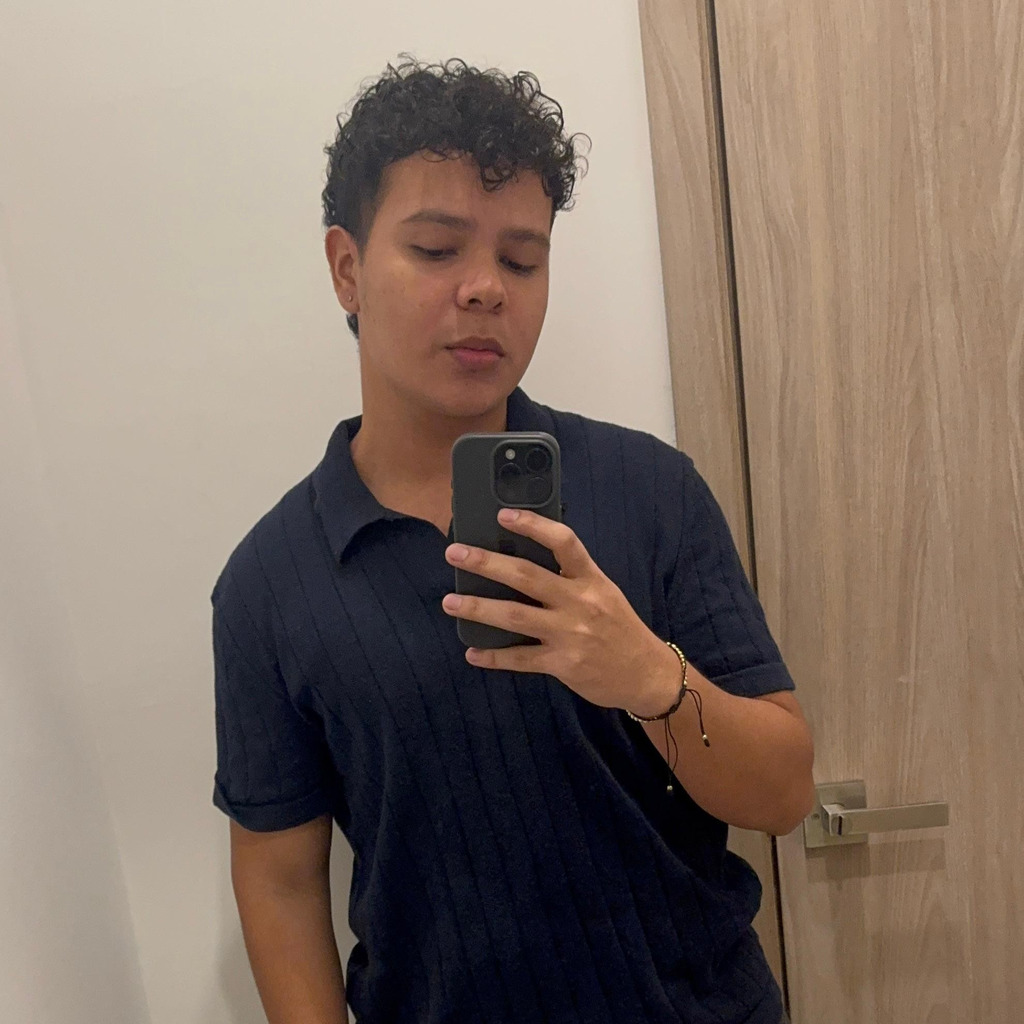 David Palacio - Fullstack Developer - virtual tech | XING