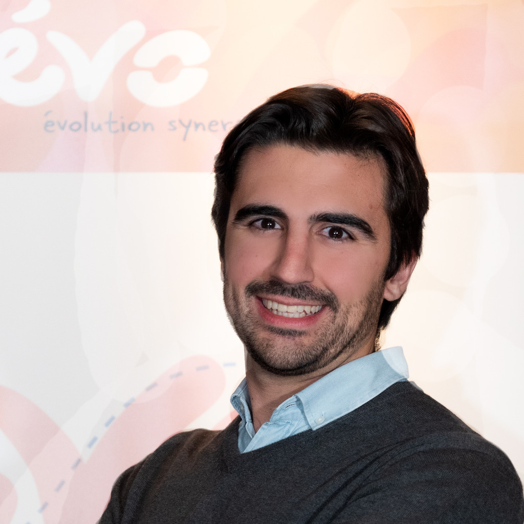 Ing. Rafael Soria Alcaide - Systemtest Ingenieur - Évolution ...