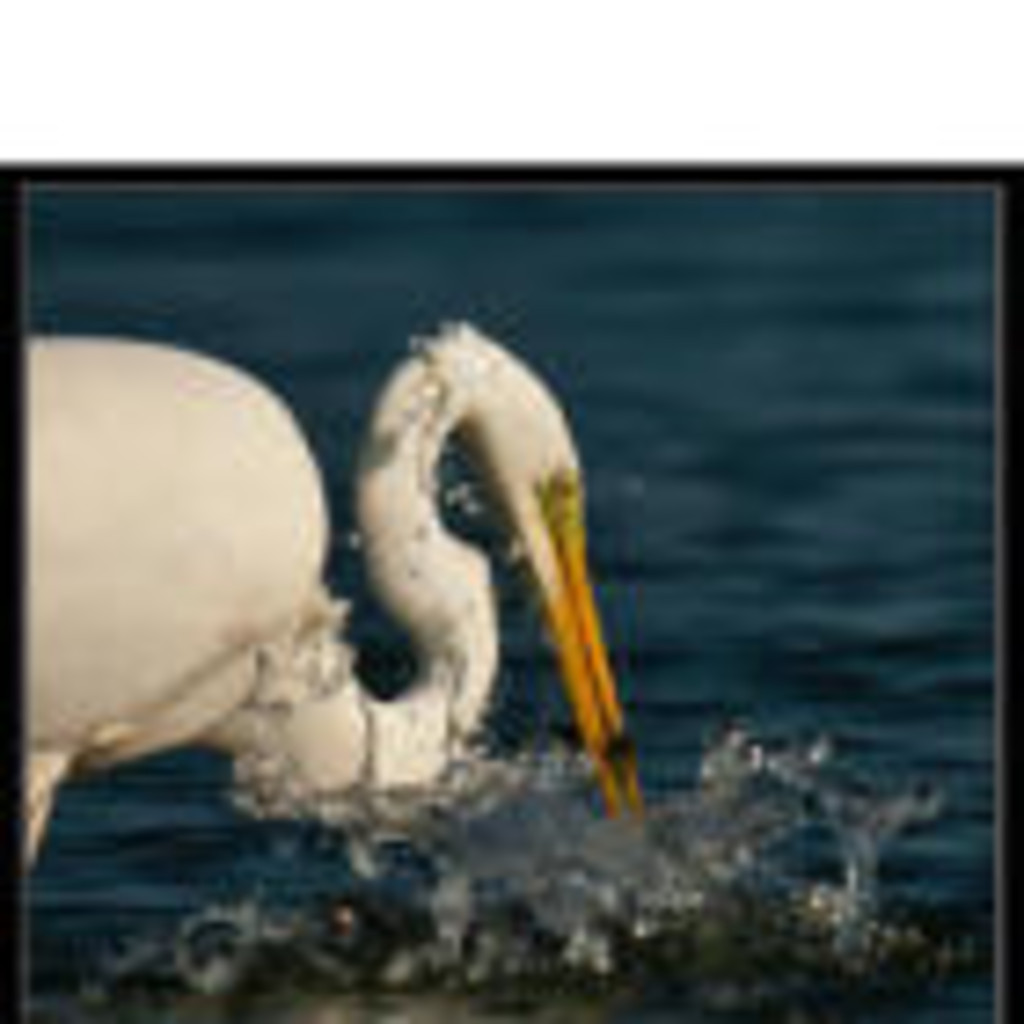 Andru Simond - Sr. SEO - Bestphoneshop | XING