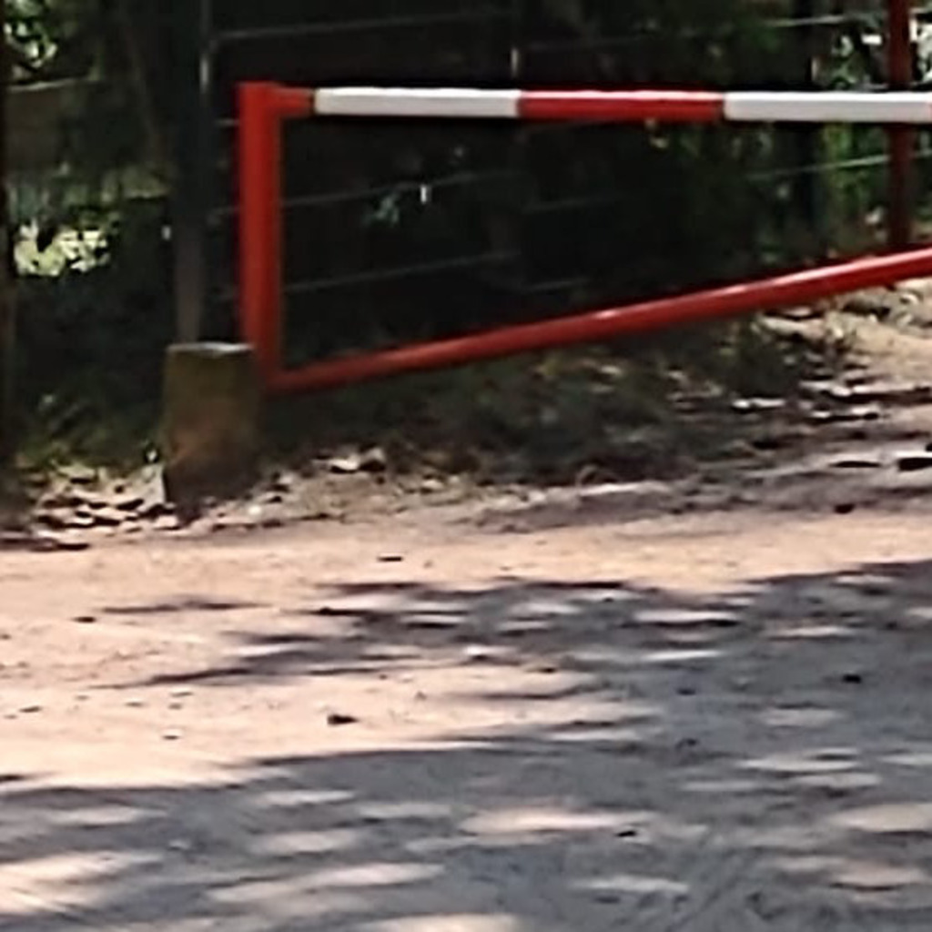 James Frank - Projektmanager - SNL Financial | XING