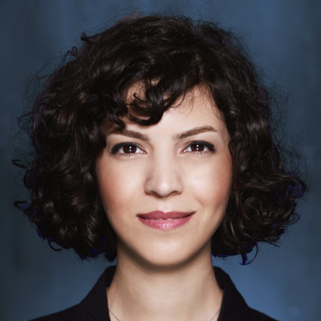 shide adibi - Software Developer - Experian | XING