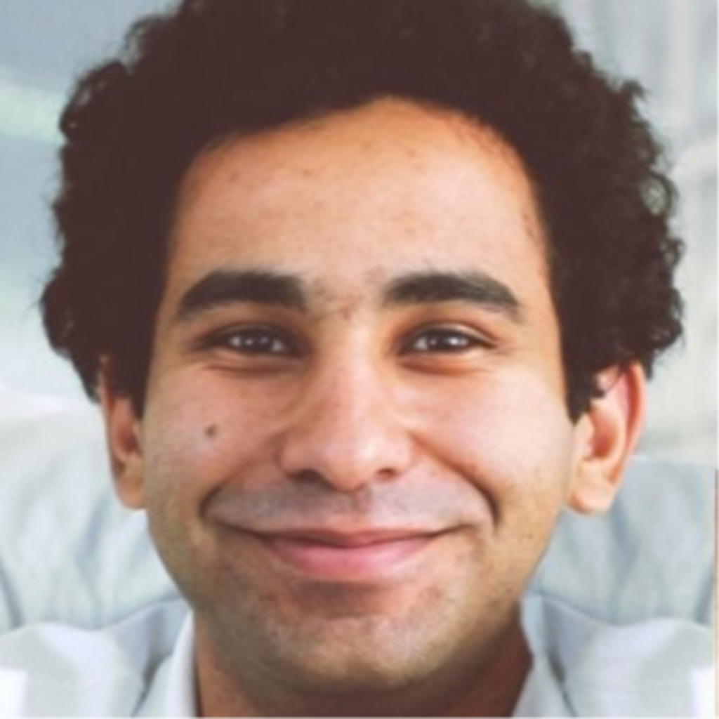 Ahmed Marwan Foda - Postdoctoral Researcher - GSI Helmholtzzentrum für Schwerionenforschung | XING