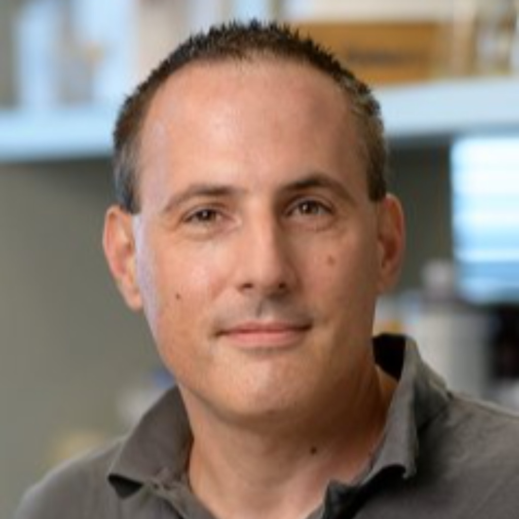 Prof. Philipp Niethammer - Member/Professor, Sloan Kettering Institute ...