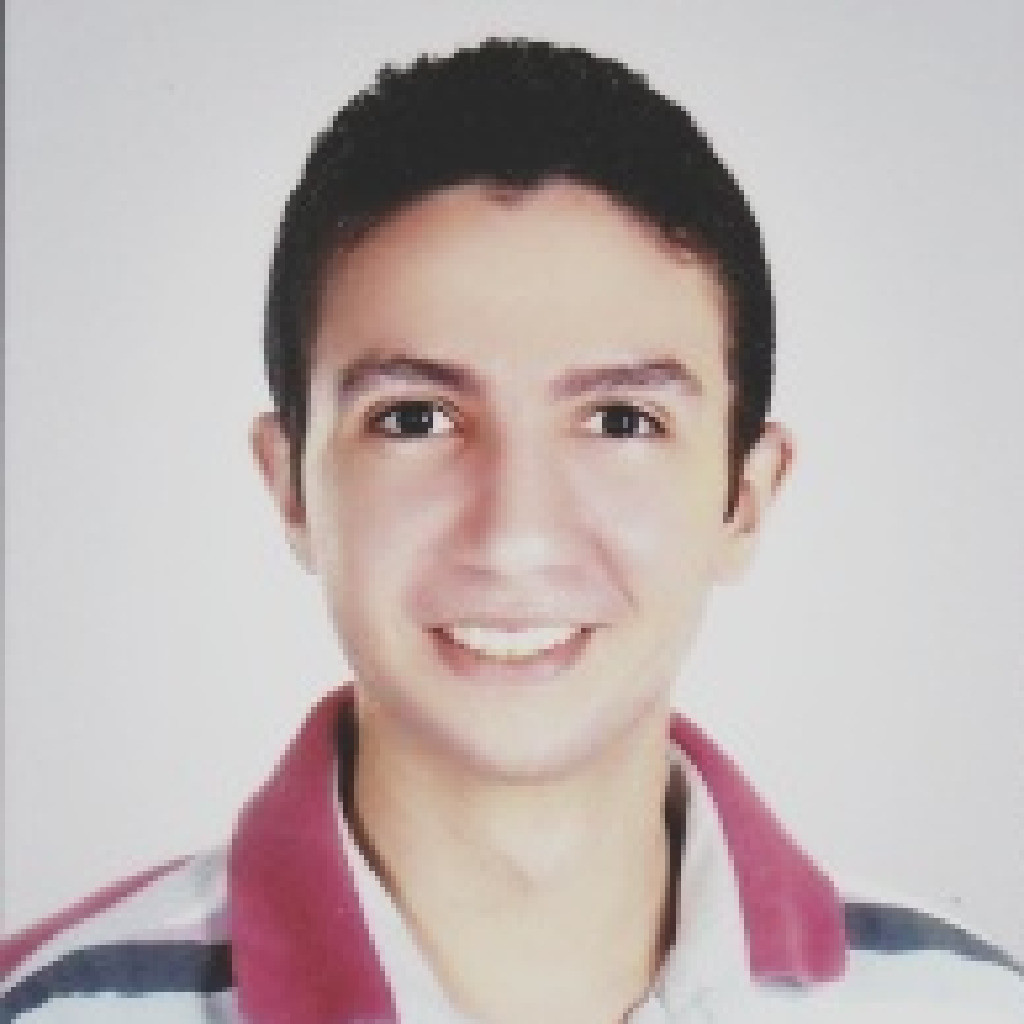Mohamed Ibrahim - Software Engineer - POET GmbH | XING
