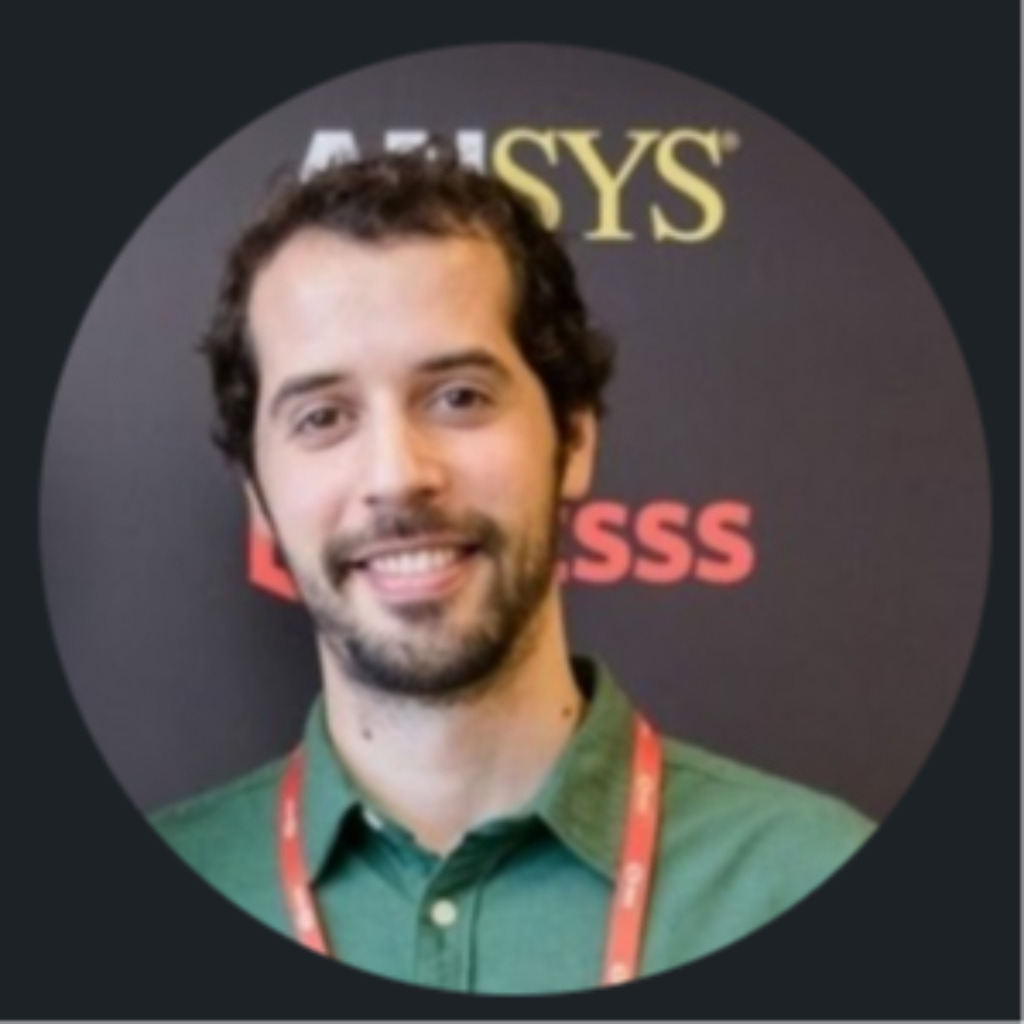 nuno silva - FEA ENGINEER & Business Developer - ESSS | XING