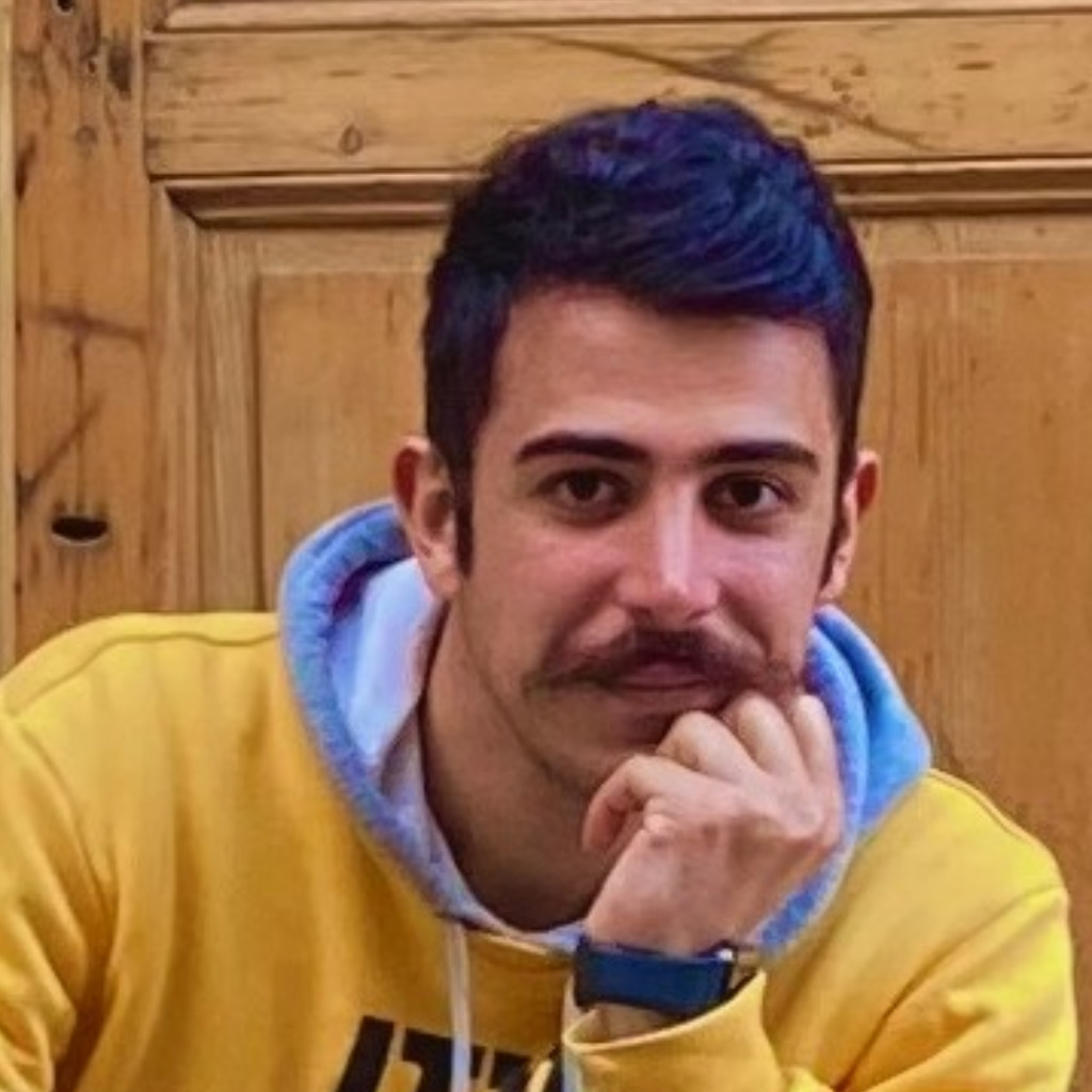 Hossein Dadashi: Ausbildung und Berufserfahrung | XING