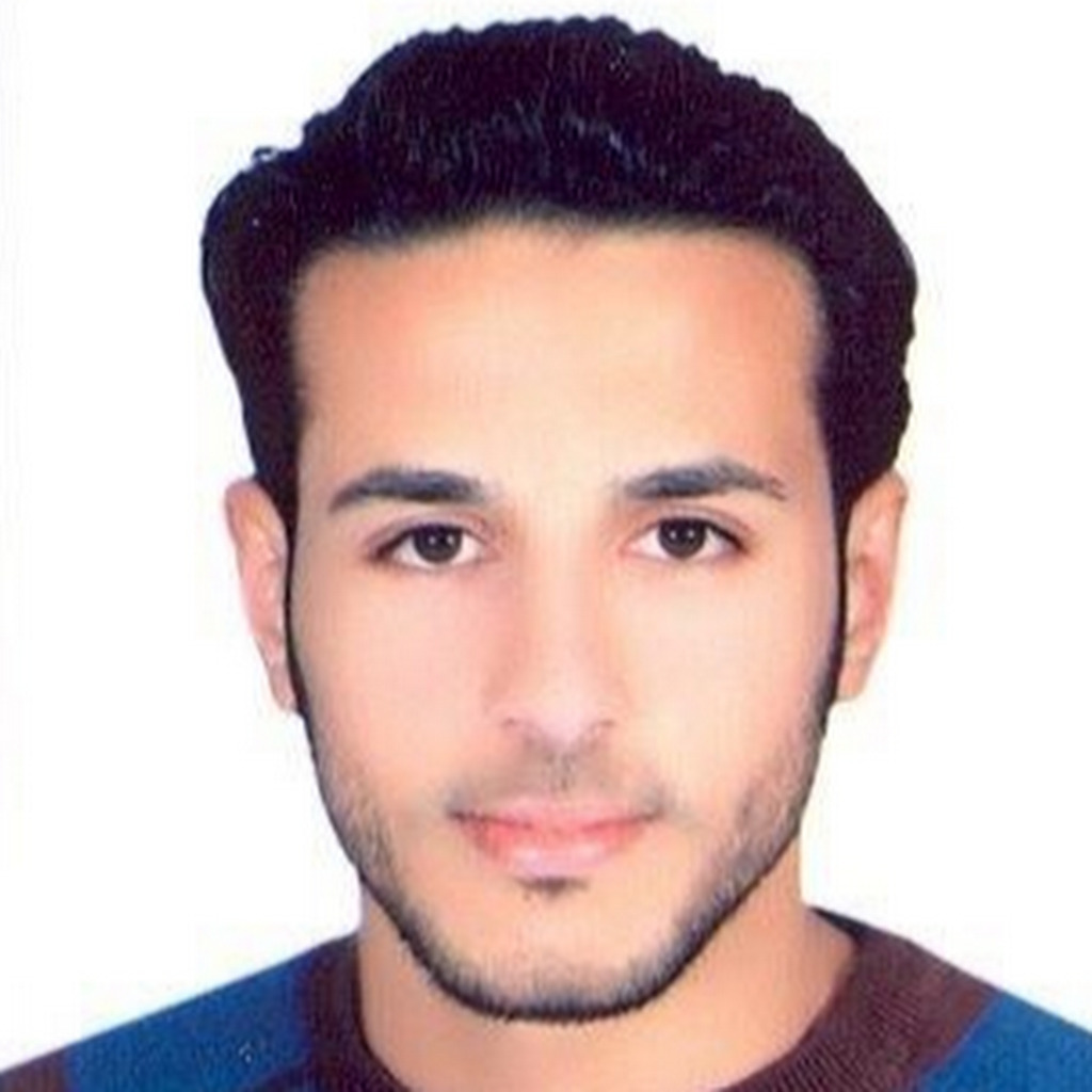 ashraf fouad - IT Project Manager - Egyptian BioEthanol Company | XING