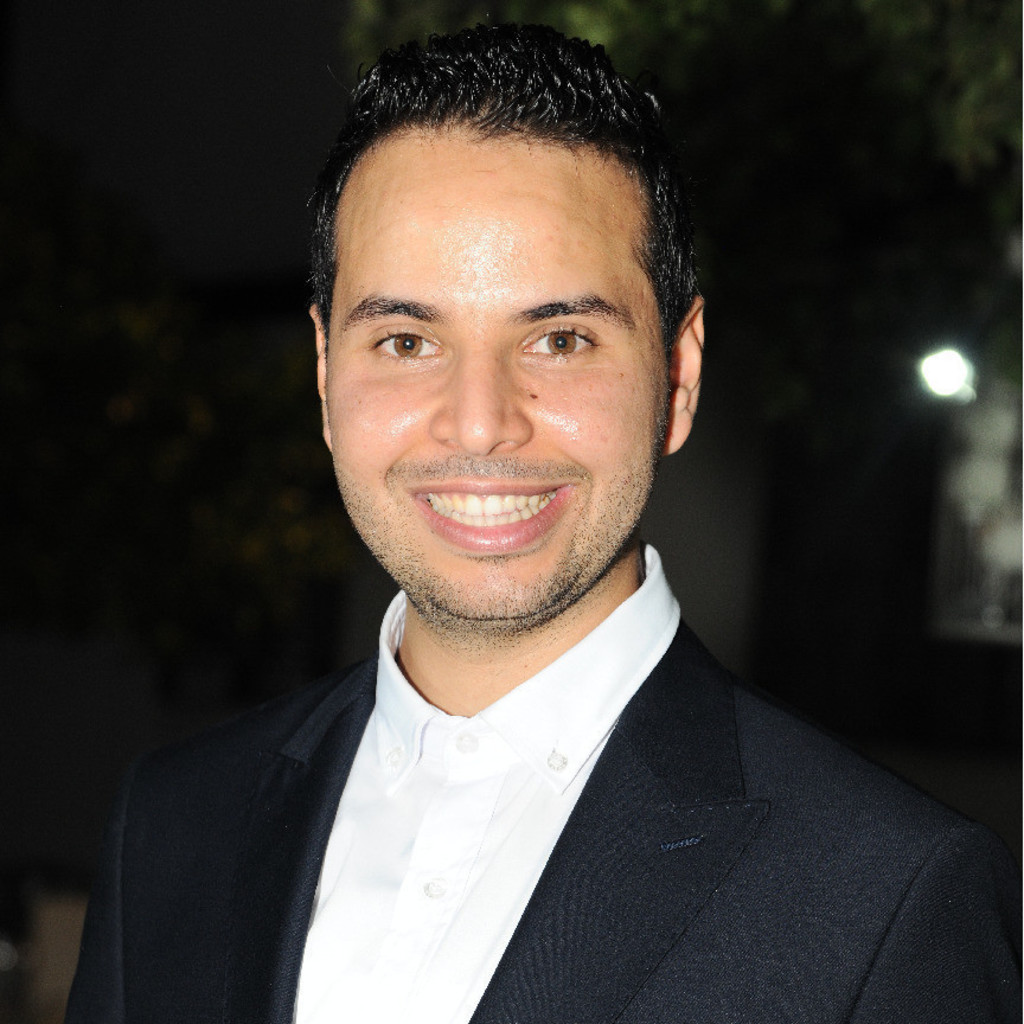 Dipl.-Ing. Hamza Meddeb - Software Design Engineer - ASML | XING