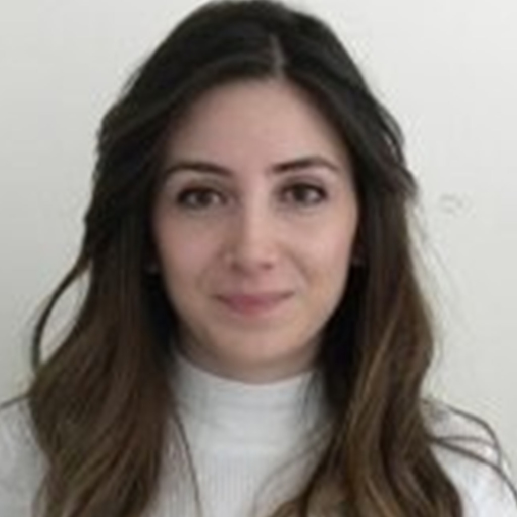 TUANNA DEMIR ATILGAN - Leader Flight Mechanics Engineer - Turkish ...