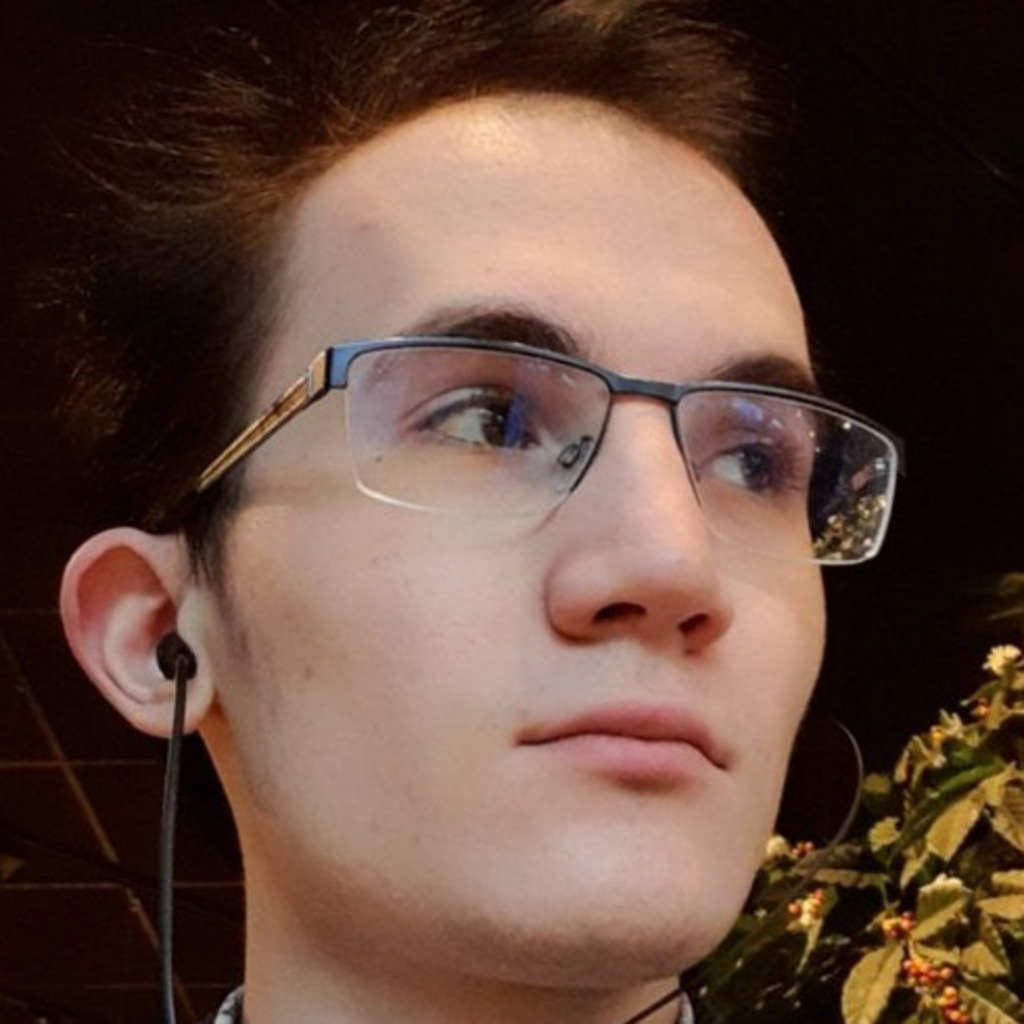 Andrei Shabanov - Werkstudent für Vetriebscontrolling - Innomotics | XING