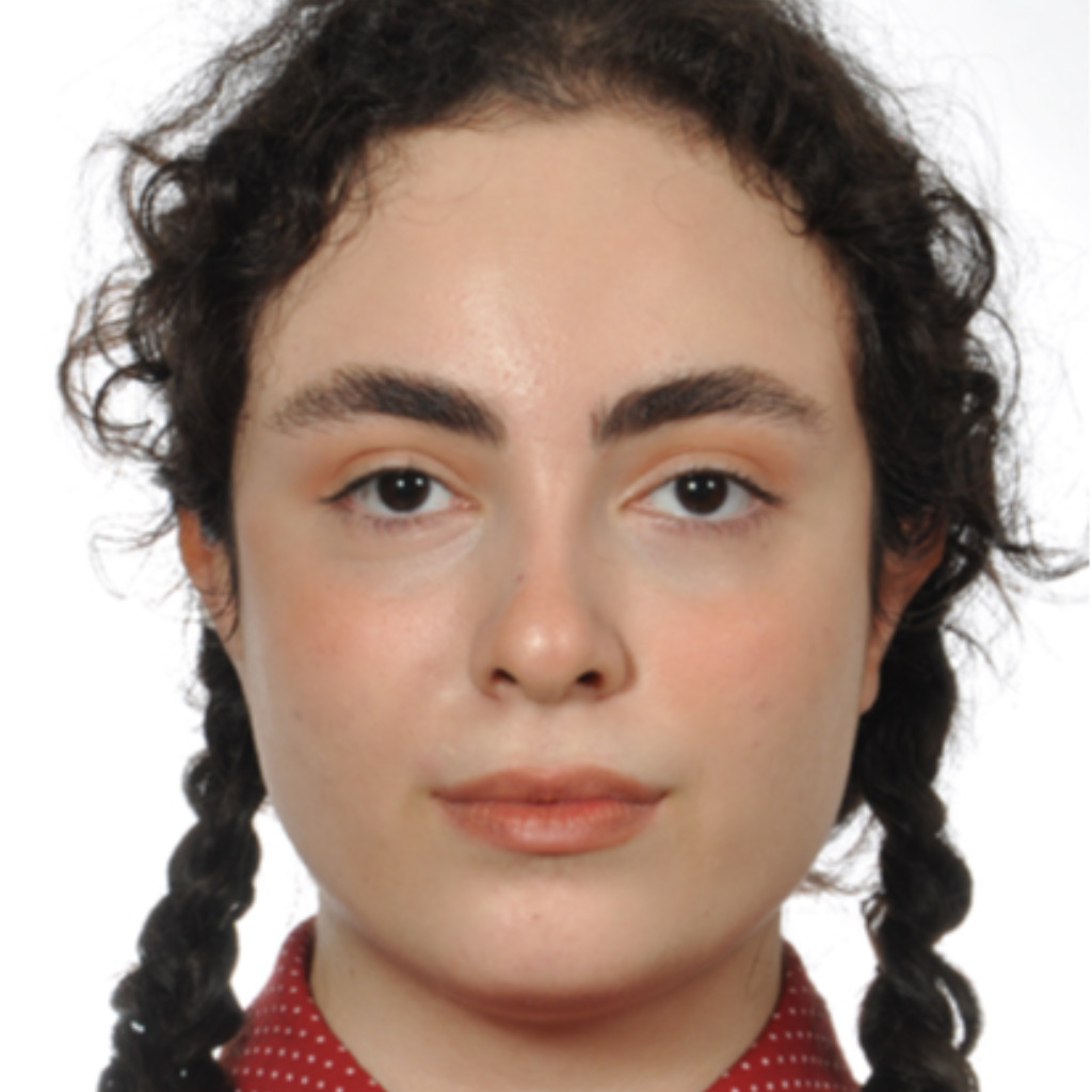 Nastaran Aliyan: Ausbildung und Berufserfahrung | XING