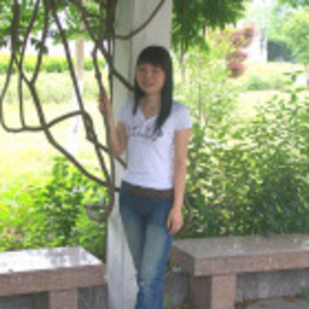 xiaoyan zhu - Director - FAVE GREEN CO.,LTD | XING