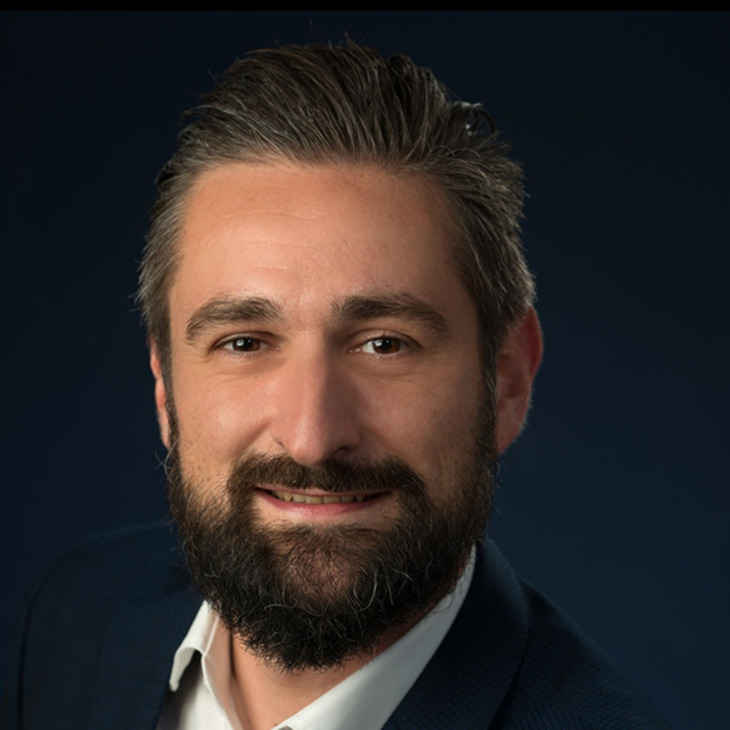 Daniel Bogdanovic - Sales Consultant - Borgmann Automobilhändler GmbH ...