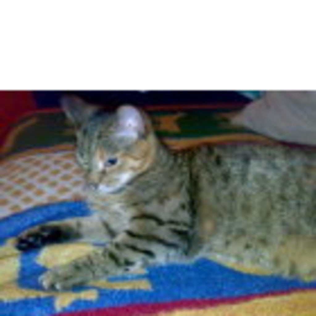 Robert Mendel - Praktikant - Kubus | XING