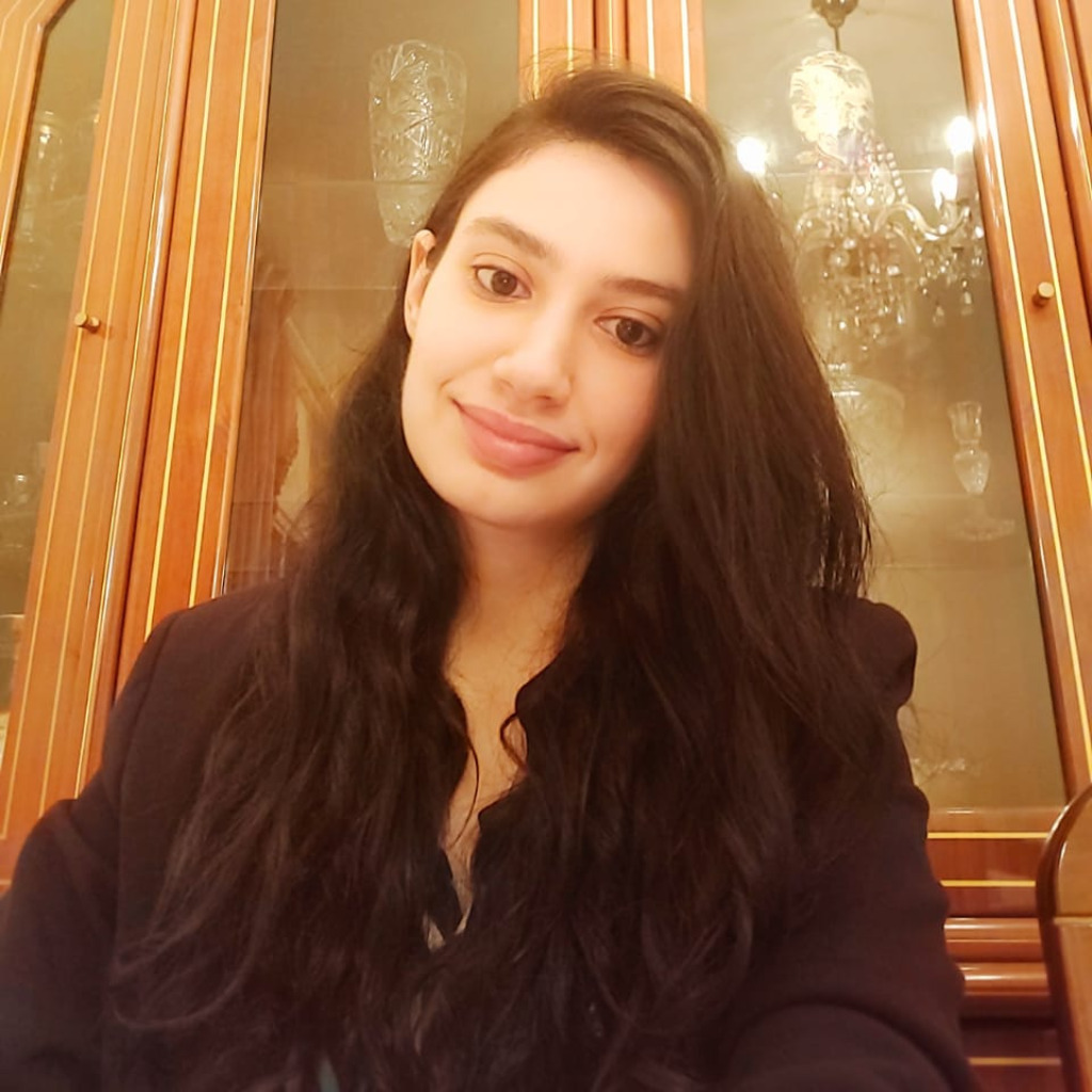 Hiba El Kari - Master of Science in Computational Mechanics - Technical ...