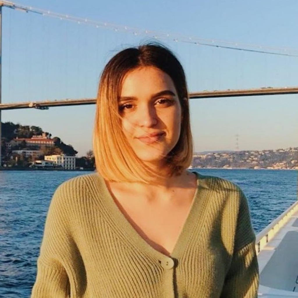 Sarah Tallushi - Project Engineer - Toyota Motor Manufacturing Turkey ...