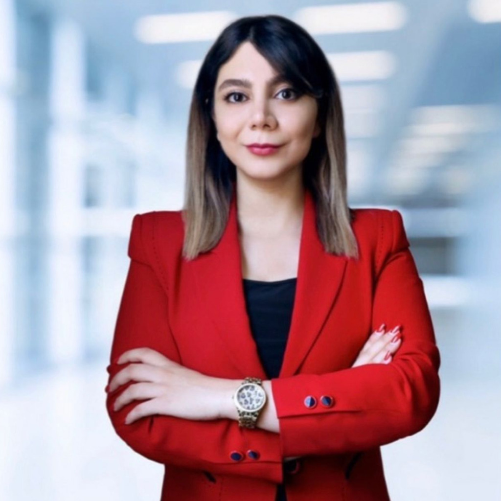 majan mojarad: Ausbildung und Berufserfahrung | XING