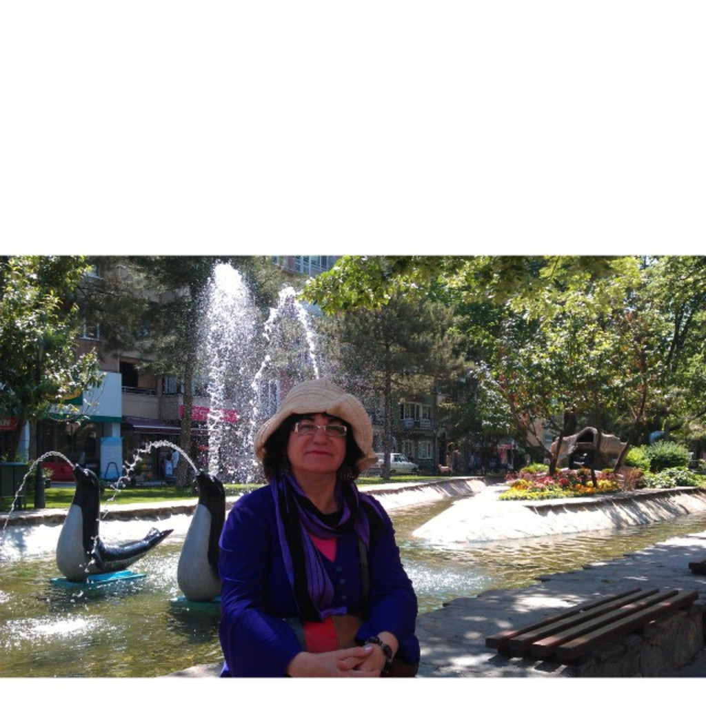 Emel Cevikcan - öğretmen - milli egitim | XING