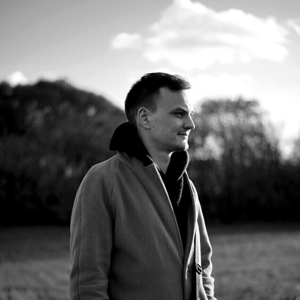 Igor Romanov - Software Developer - Diakont | XING