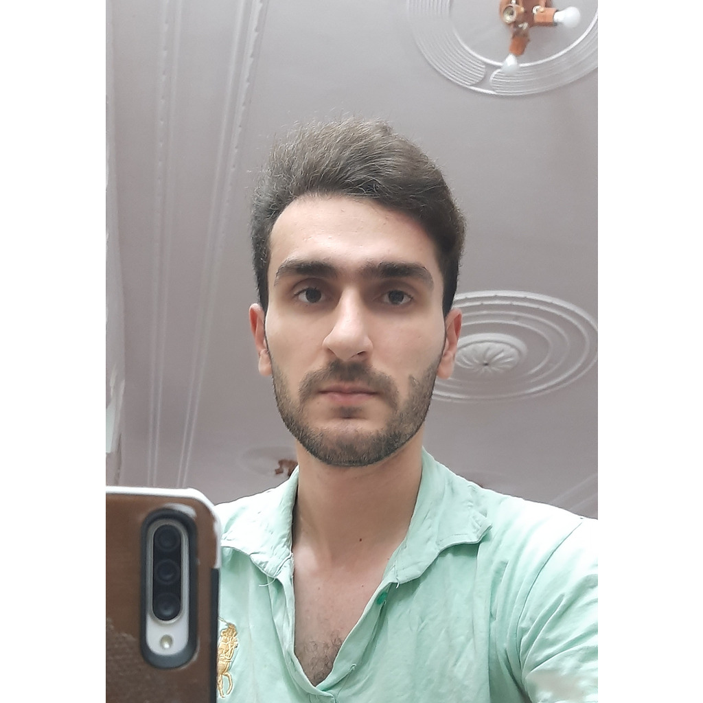 ali pakdelnia - Freelancer - freelance | XING