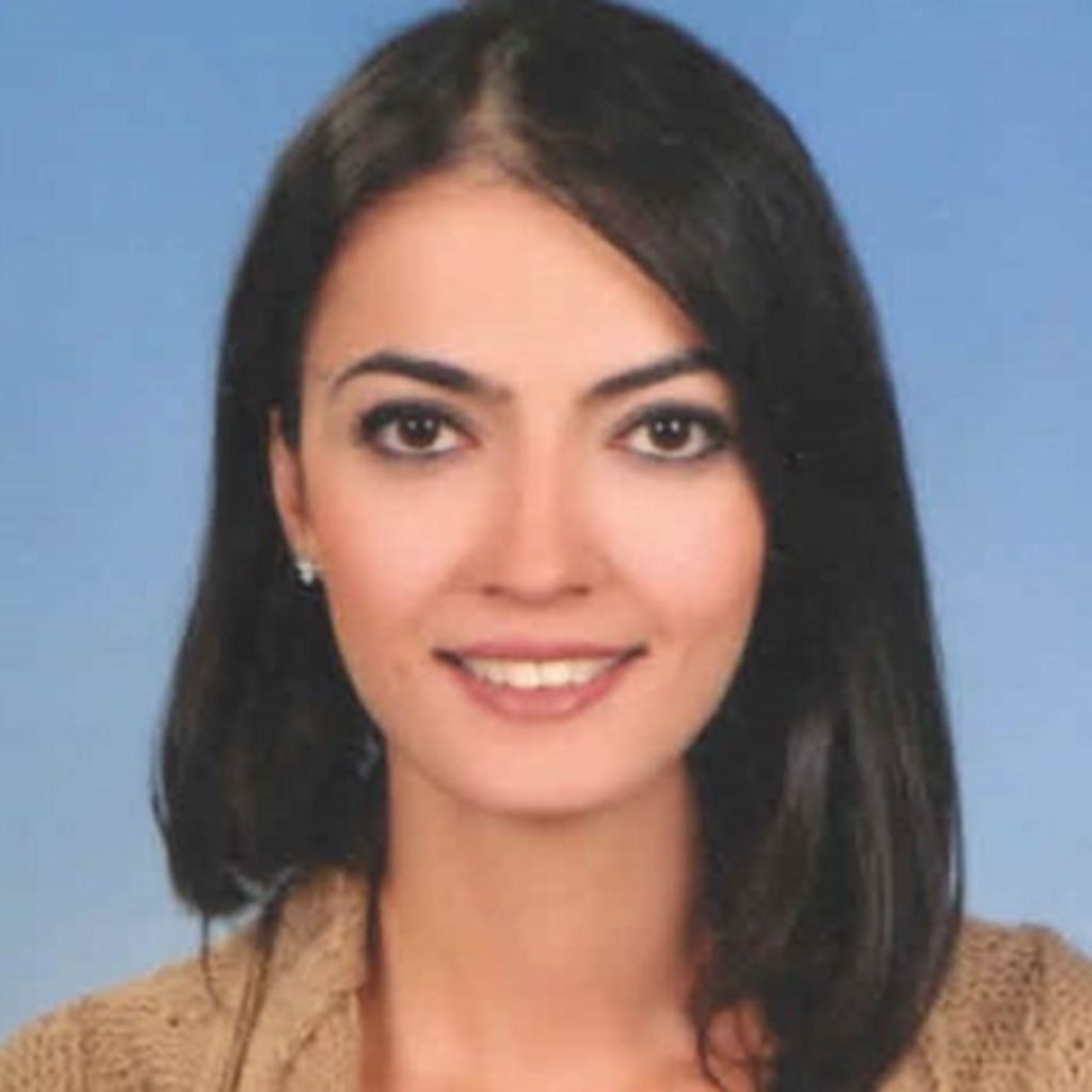 Burcu Cengiz - IT Project Manager - Wtechin Software and Consultancy | XING