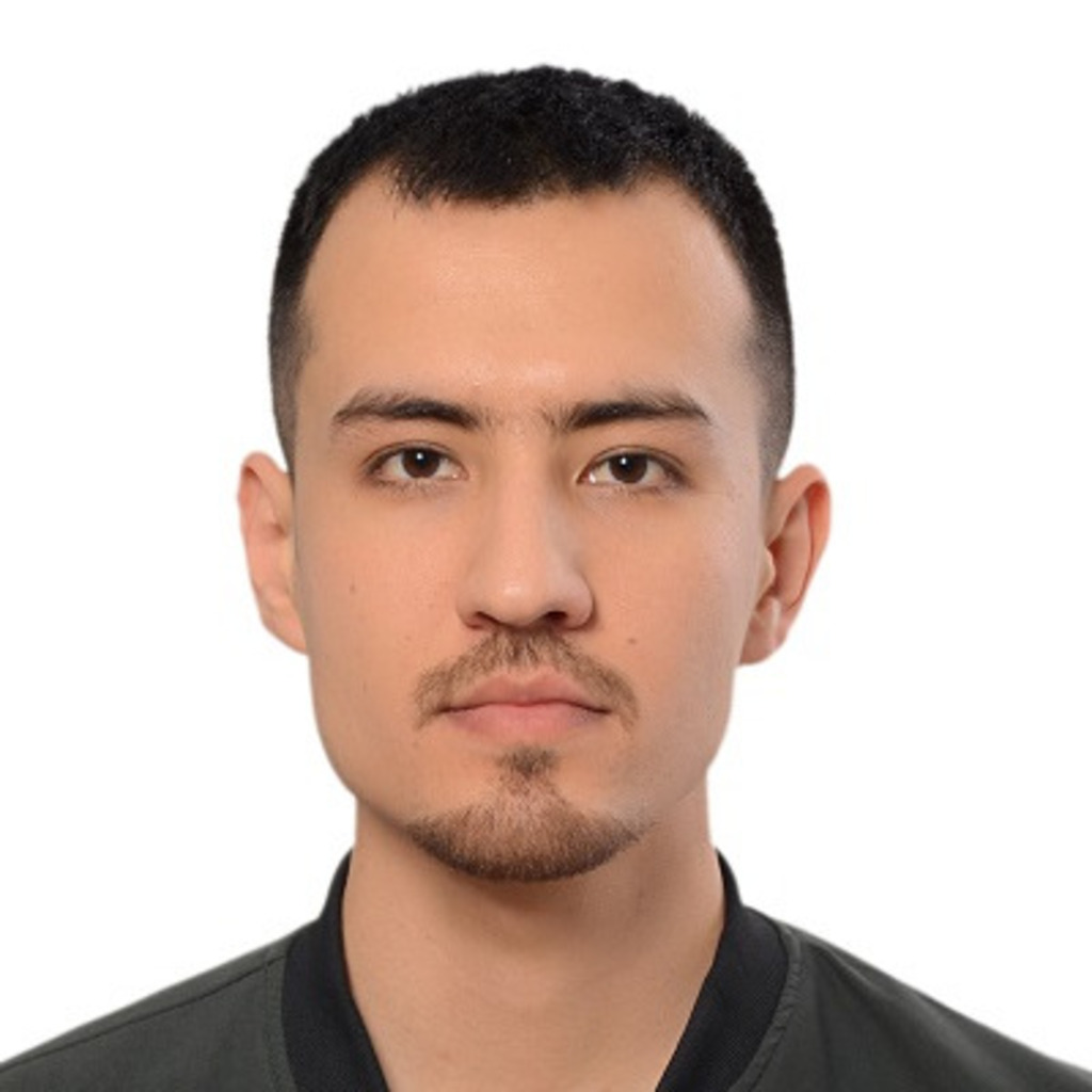 Sayed Ali Mazhar Sadat - AI & Software Developer - Quasiris GmbH | XING
