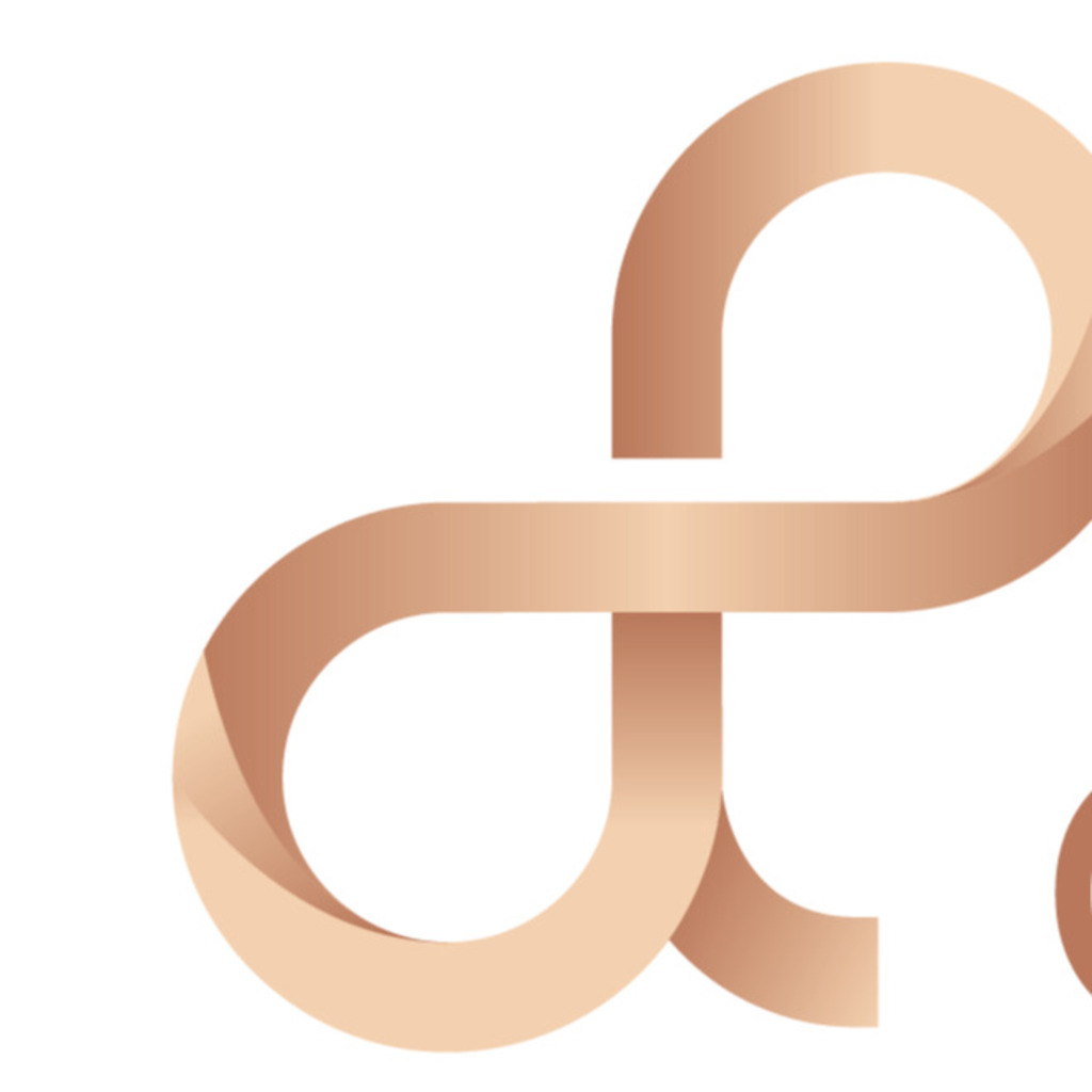 Alvision Canada - Senior Executive - Alpina Investments Inc. | XING