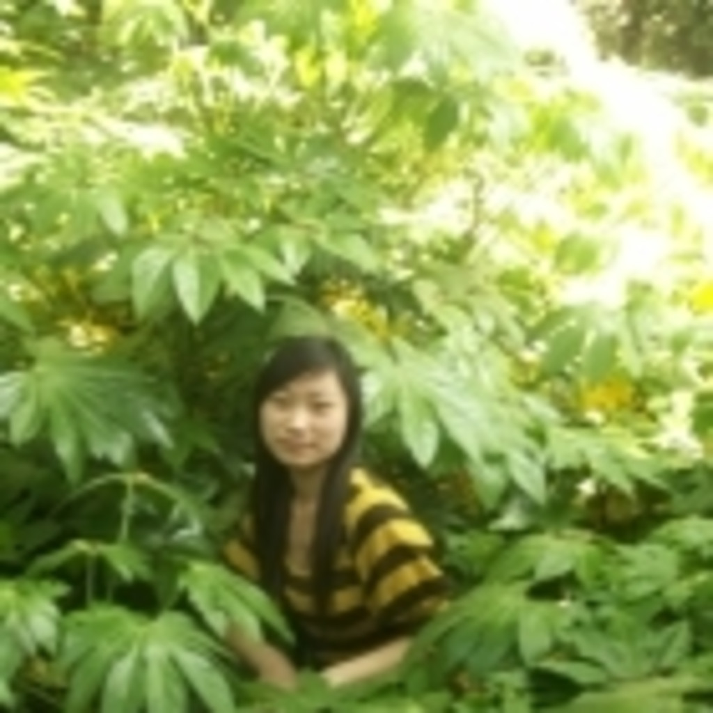 Ann Zhou - 经理 - Annual Conference(2010) of the 6th Solar Energy Academy ...