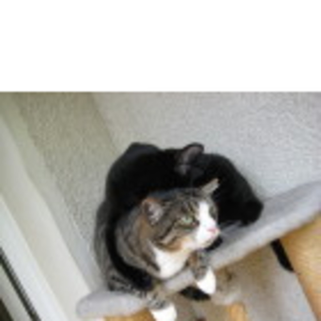 Bianca Barth - Angestellte - Physiotherapie | XING