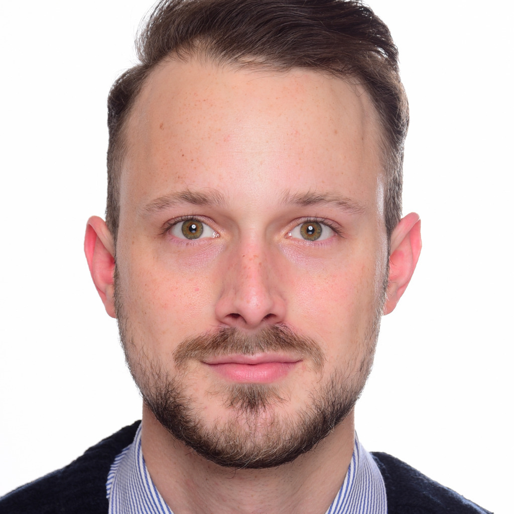 Dominik Martin - Politikwissenschaften - Friedrich-Alexander ...