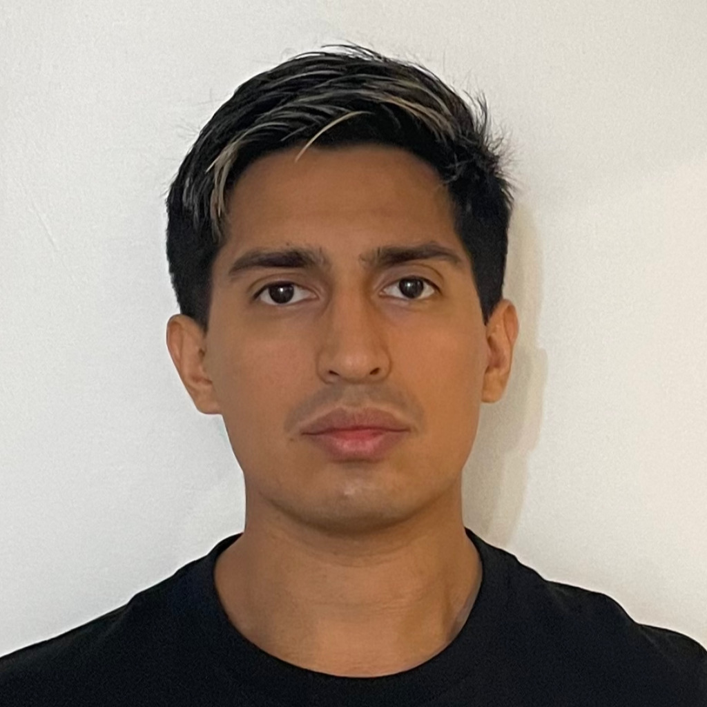 Franco Choque - Frontend Developer - Erisx | XING