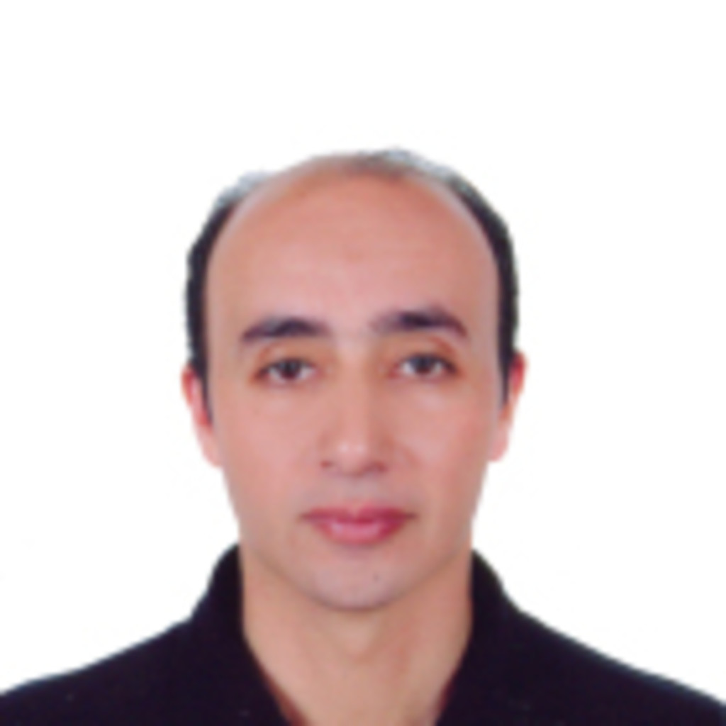 Hatem Karim - Senior Multimedia Solution Project manager - wsolvt | XING