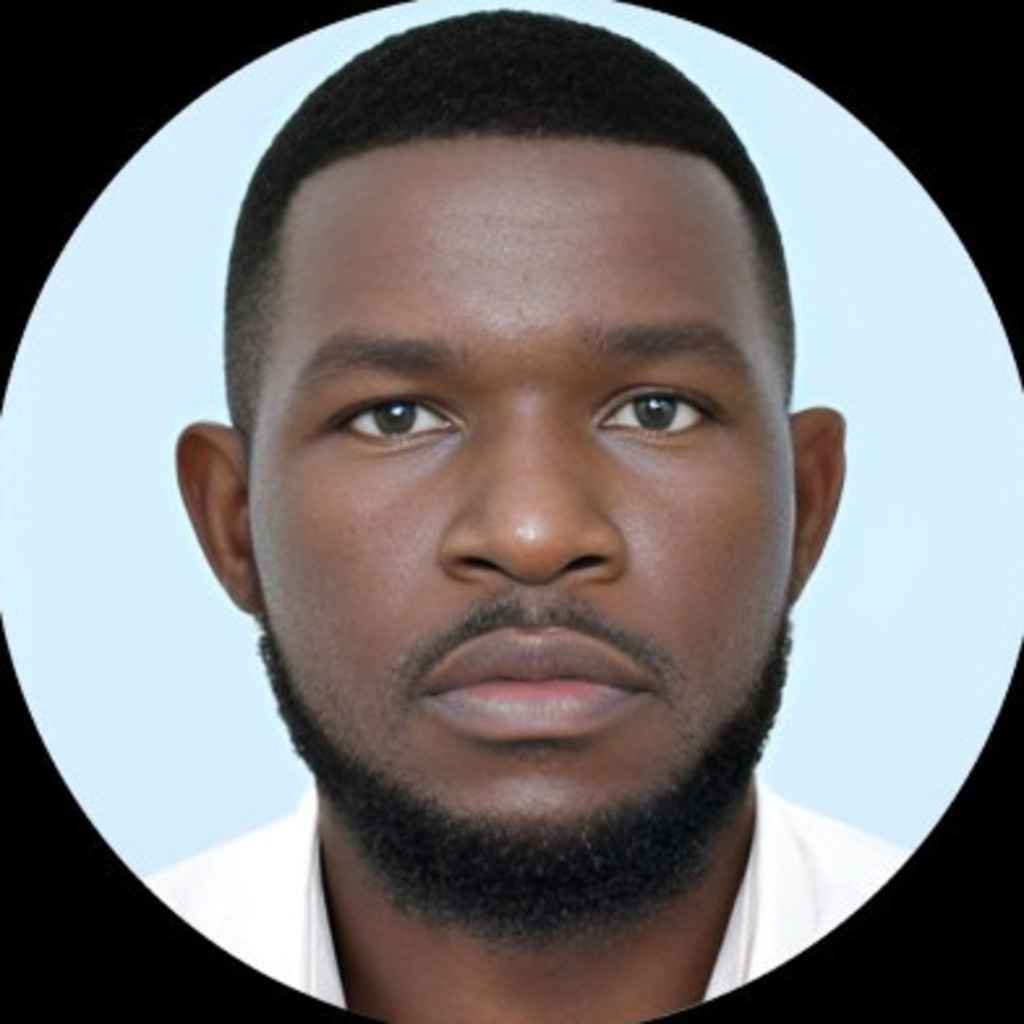 shem maina - Business Intelligence Development Professional - Kenya Revenue Authority | XING