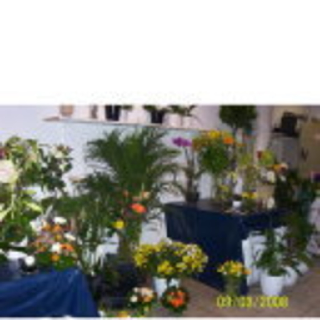 Michael Grebien: Ausbildung und Berufserfahrung | XING