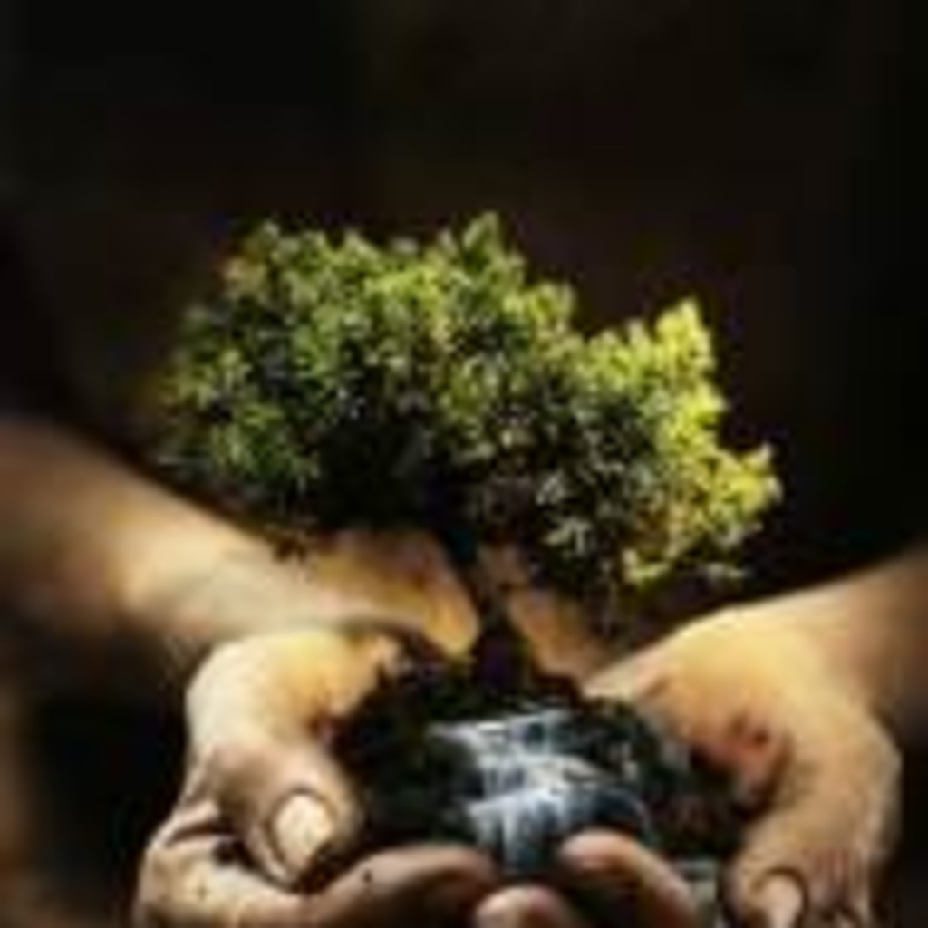 Erkan Çevik - İş Güvenliği Teknik Eleman - Park Termik Elektrik San.Tic ...