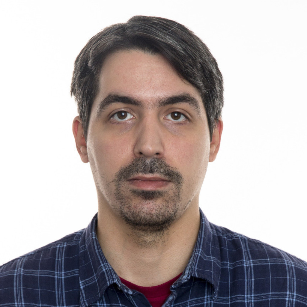 Dipl.-Ing. Aurelian Ioan - Software Developer - Luxoft Romania | XING