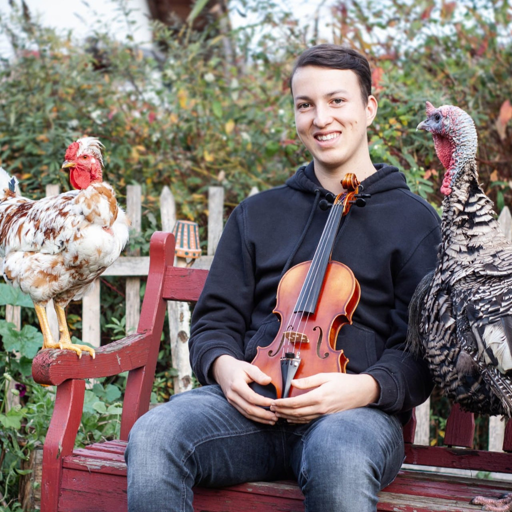 Jacob Friede - Musiklehrer - Musiklehrer | XING