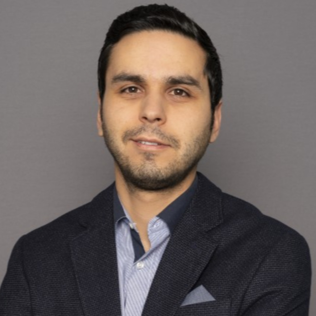 amine fradi - Senior java full stack developer - DHM IT | XING