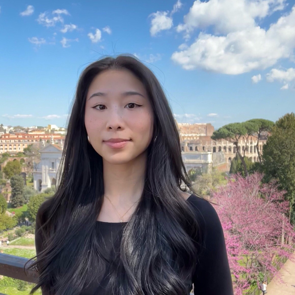 Linh Dam Luu - Werkstudentin - DIS AG | XING