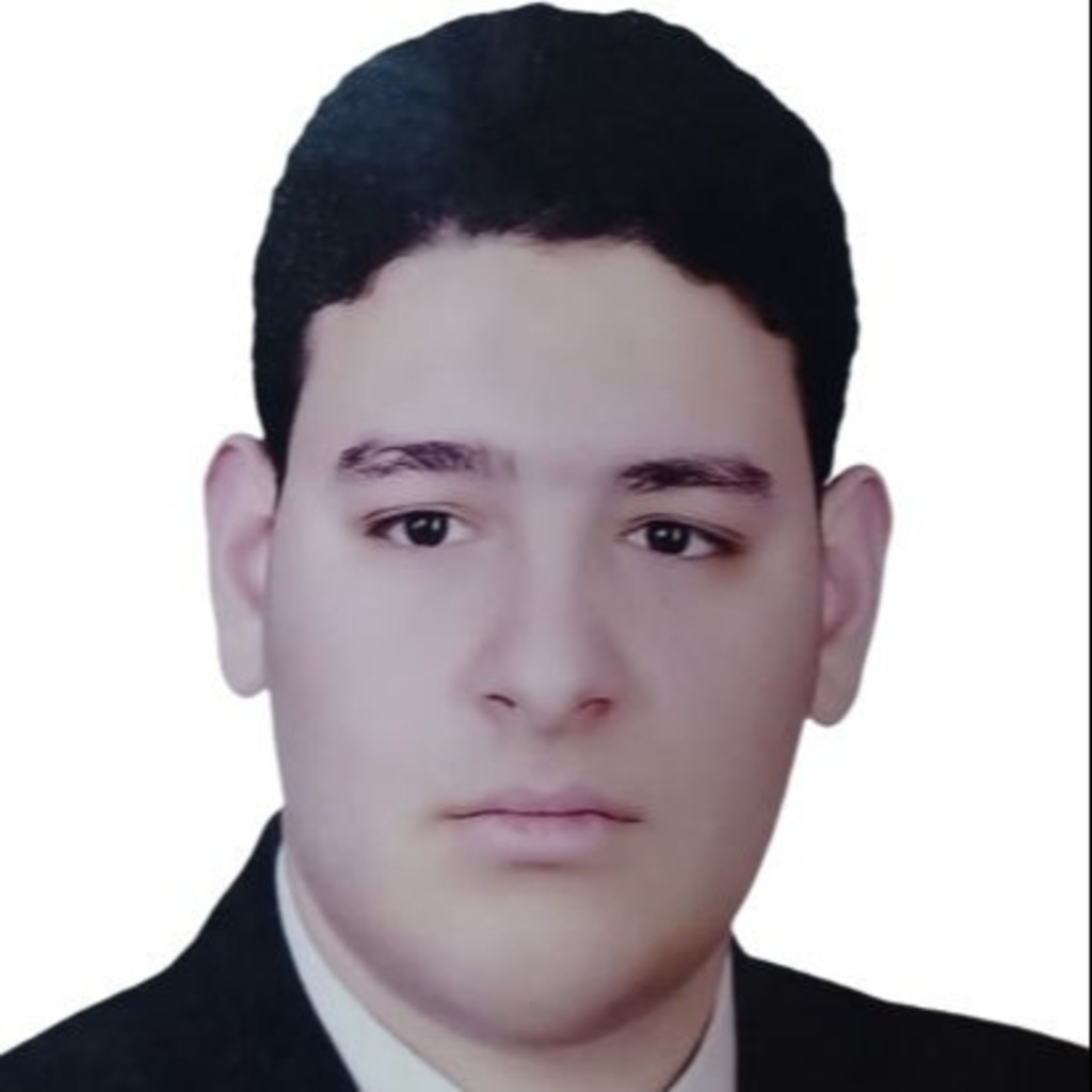 Mahmoud Ellahony - Network Security Engineer - Electronic and knowledge ...