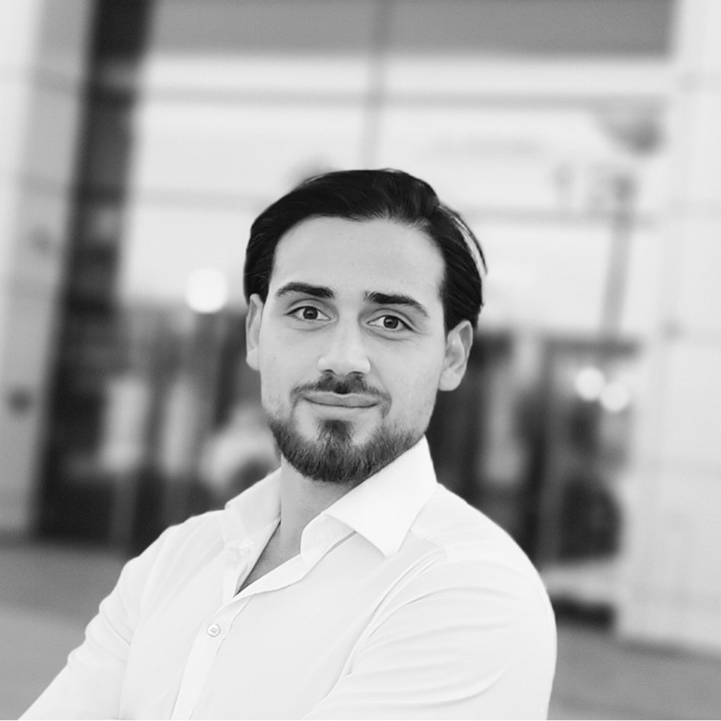 Erfan Maleklo - IT-Consultant - Brenntag | XING