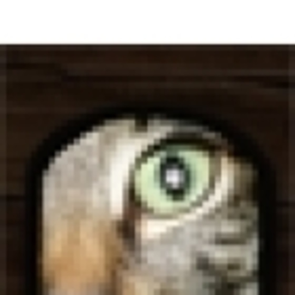 Ferdinand Prantl - Software engineer - IXOS Software AG | XING