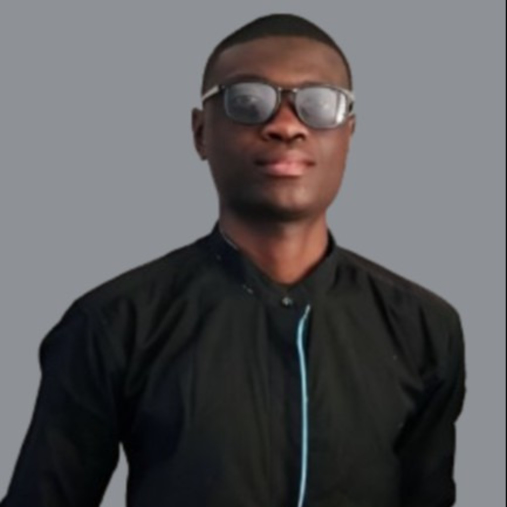 Mouhamed Faye - Data Analyst - holdertech | XING