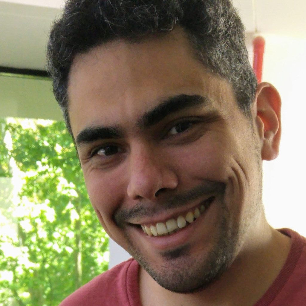 Diego Walter Fernandez - Software Engineer - Despegar.com | XING