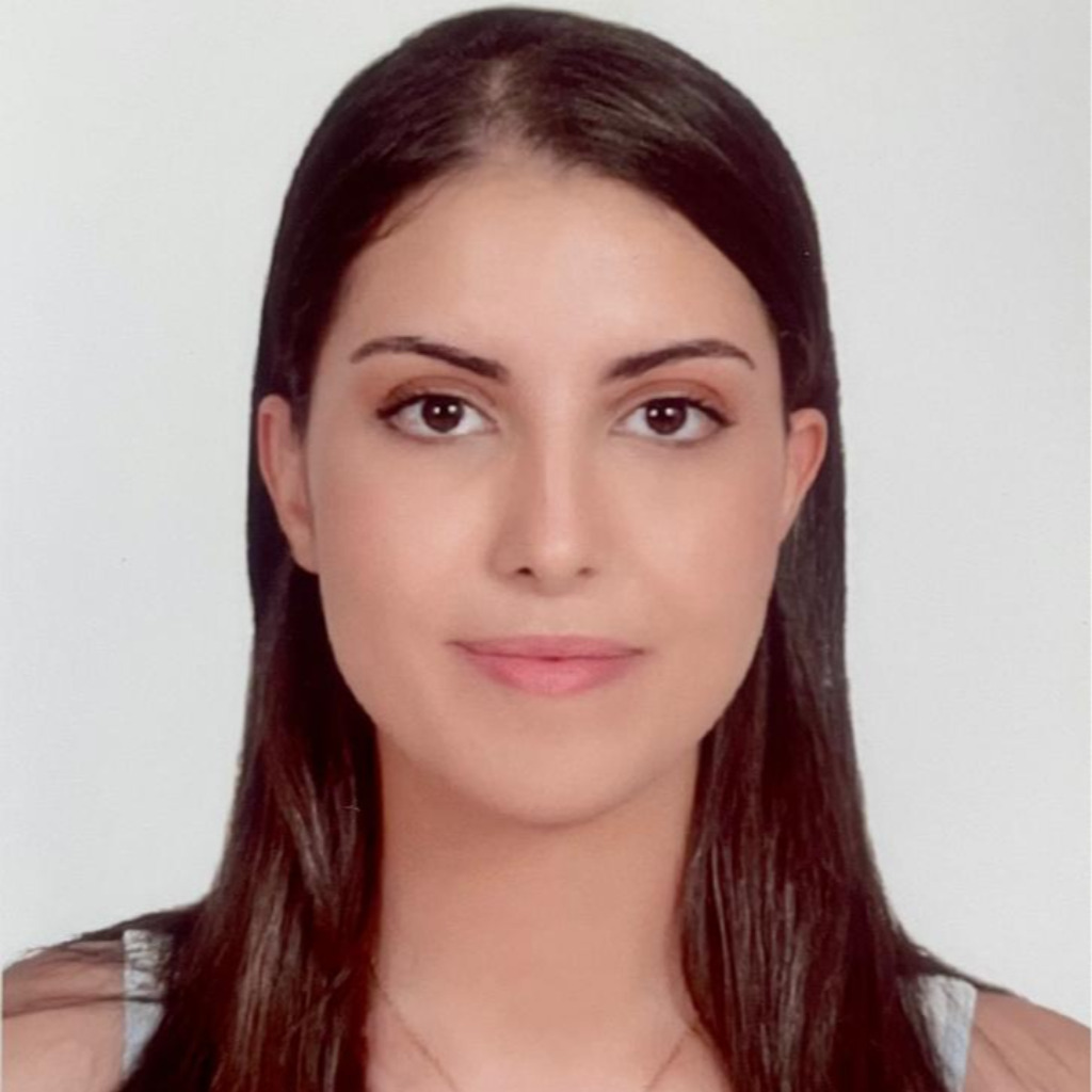 azza feki - Elektro-/Informationstechnik - HAWK Hochschule für ...