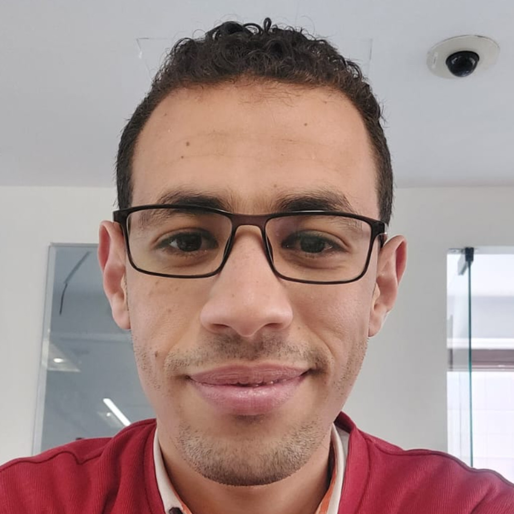 Ahmed Nasr - Demand & Supply Planning Lead - B.TECH | XING