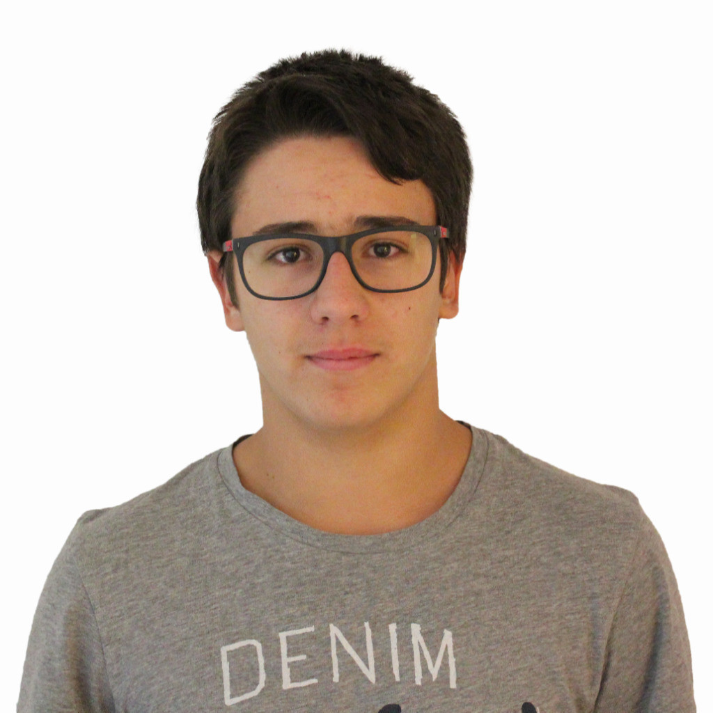 Matthias Lehner - Mediamatiker - OPRA Arbeitsmarktprogramm | XING