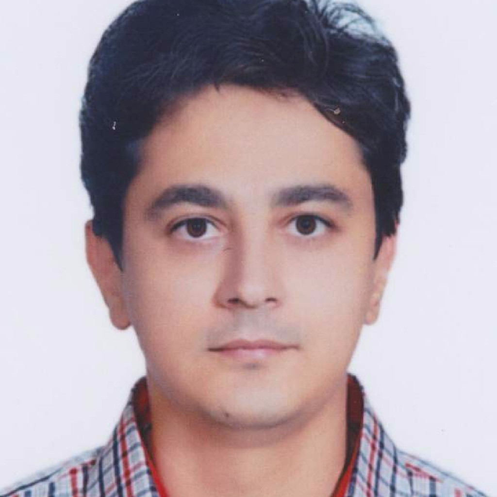 Ahmad Feizabadi - Software Developer - Misagh Saba Co. | XING