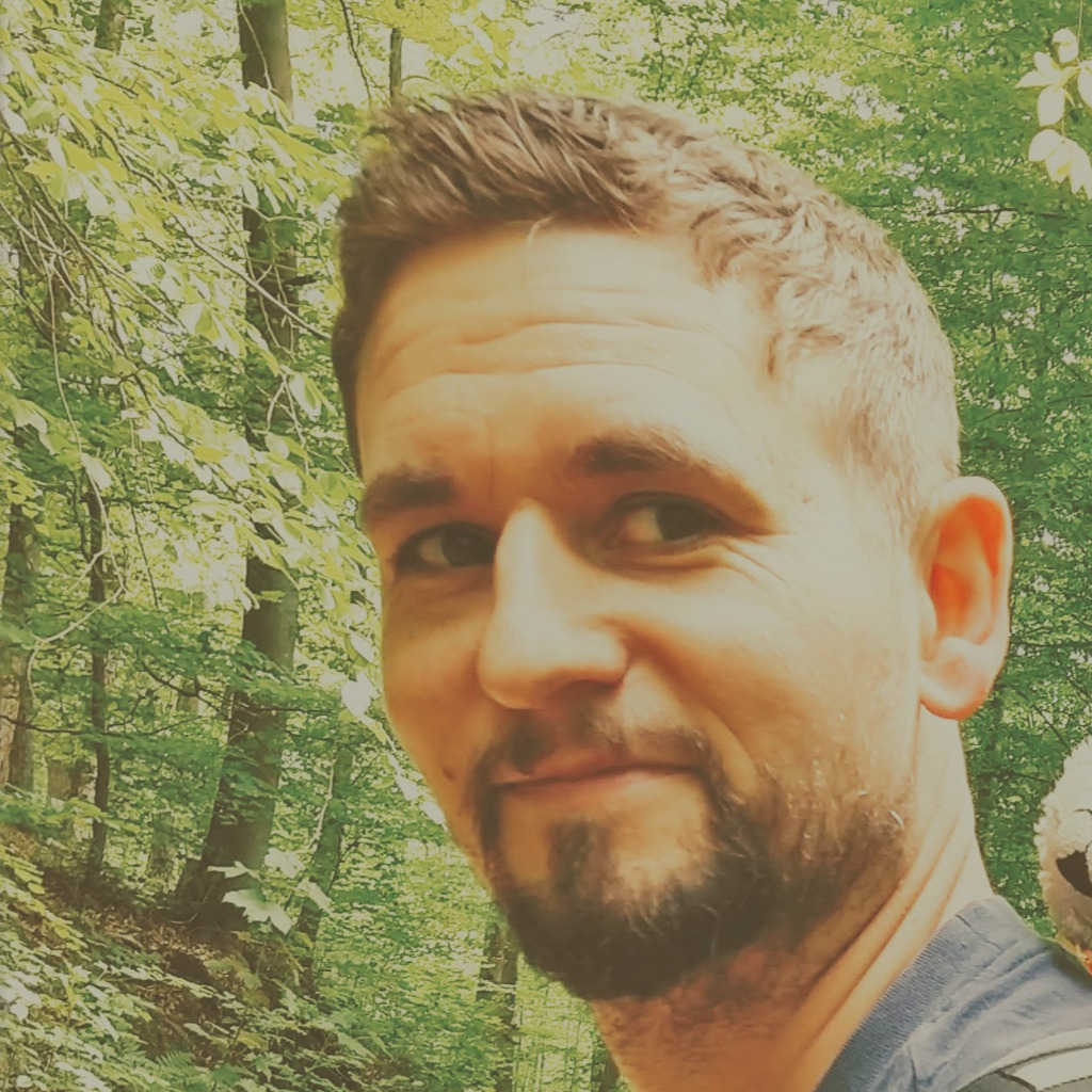 Sascha Heß - Controller - Pfalzwerke AG | XING